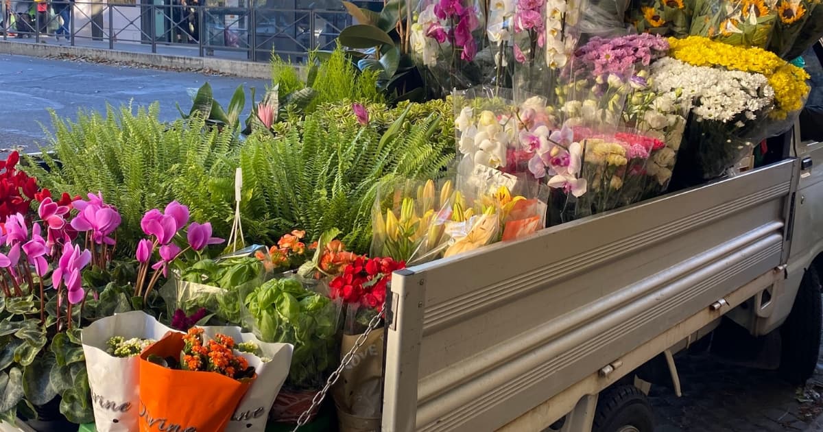 Caregiver Corner: Getting Started - Upside Lane