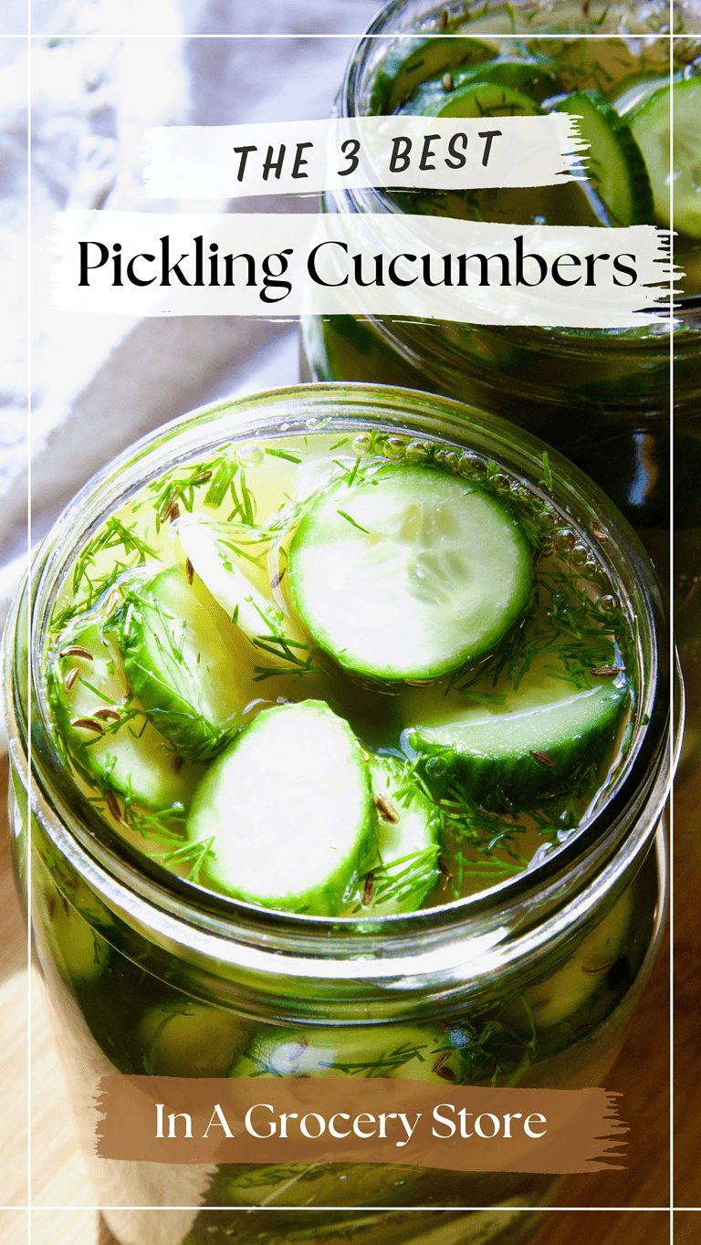 No Garden? Best Cucumbers For Pickling From The Store