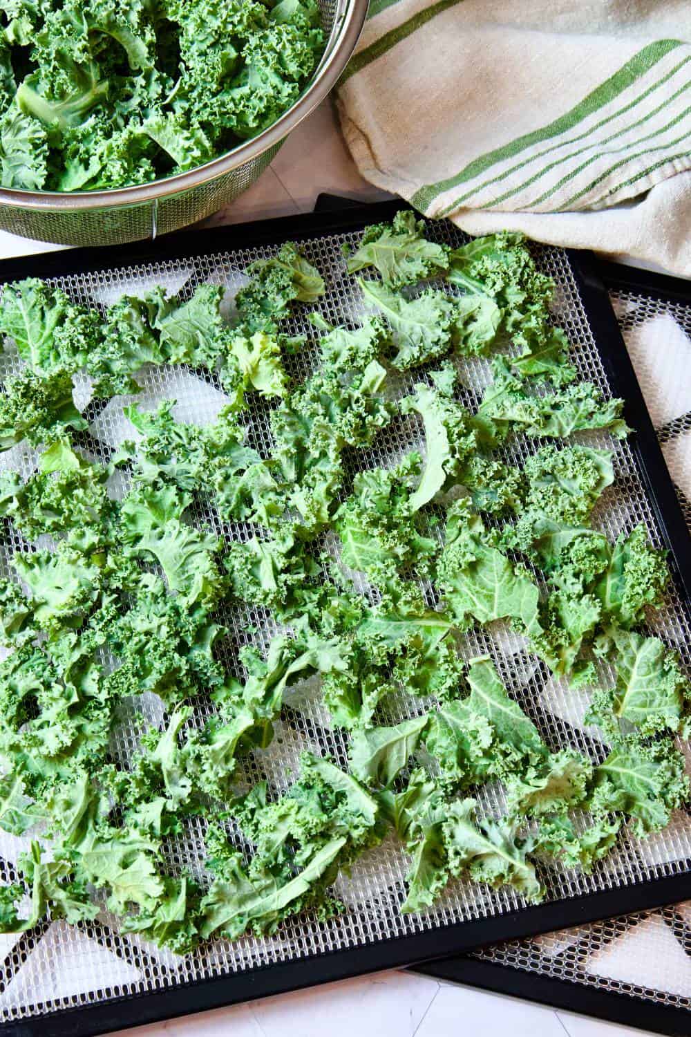 DIY Green Powder: Make Super Greens Super Cheap - Upside Lane
